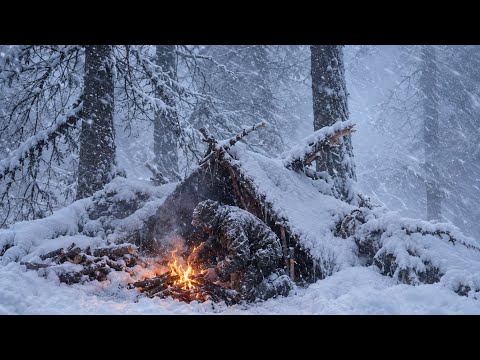 Solo Survival Camp | Heavy Snow, Freezing Rain & Blizzard | No Tent, No Sleeping Bag, Just Fire
