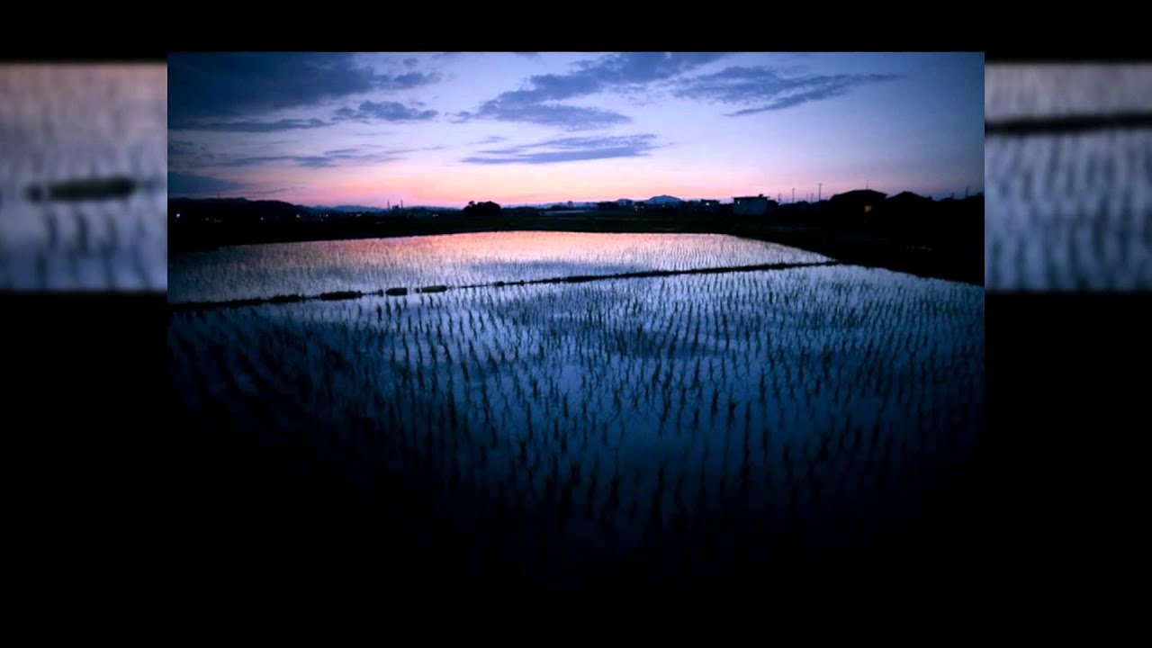 Canon Eos 1Ds MkIII Sample Shots