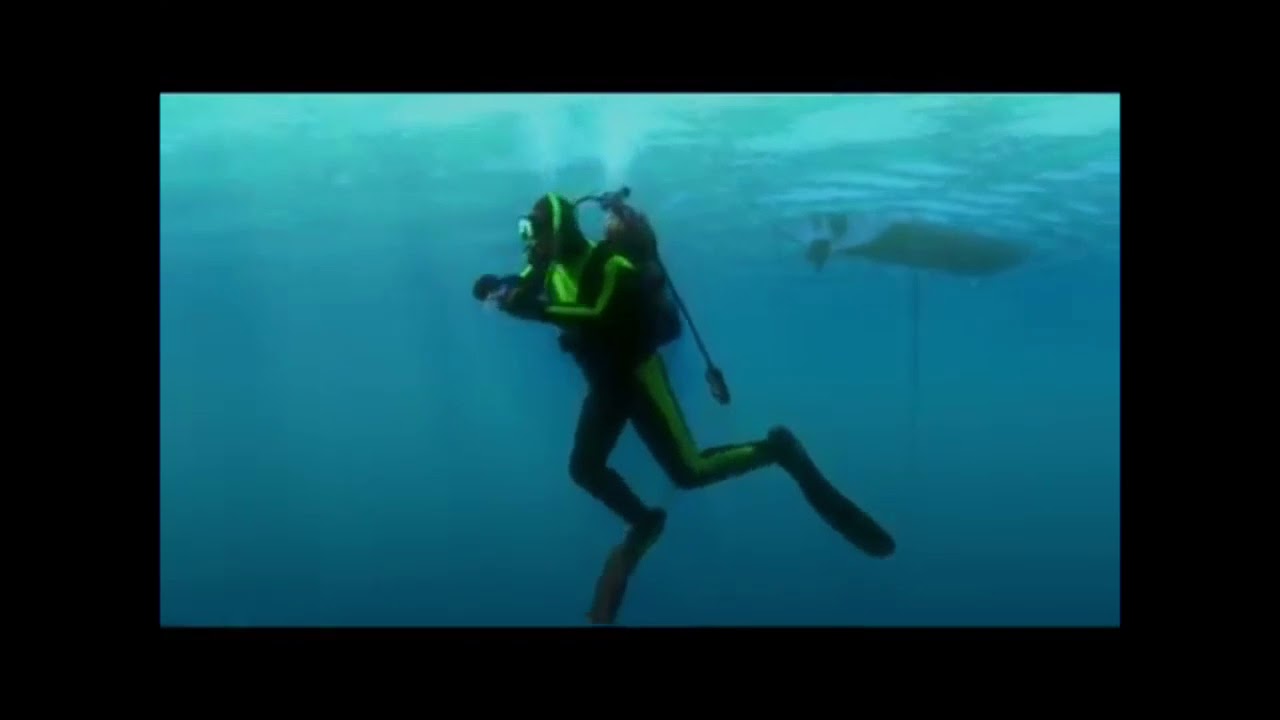 Finding Nemo Nemo Gets Kidnapped. - YouTube