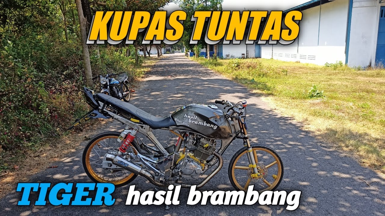 HEREX Style - Review TIGER HASIL BRAMBANG - YouTube