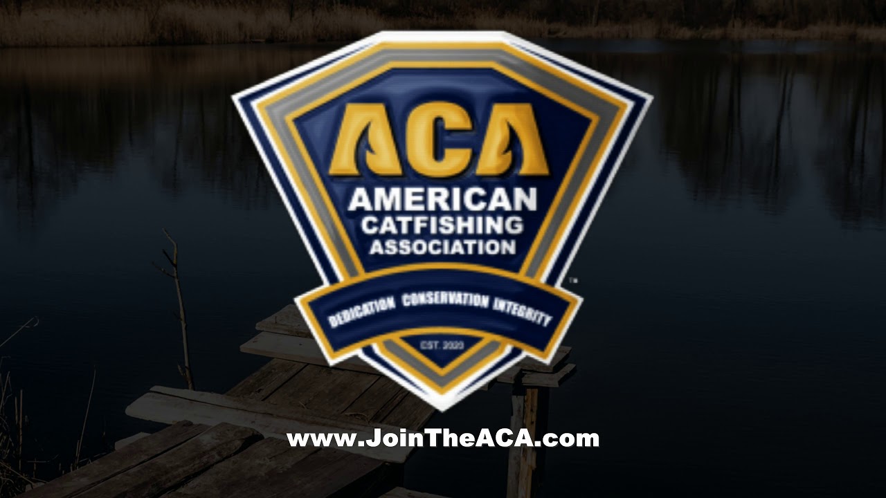 Introducing The ACA - YouTube