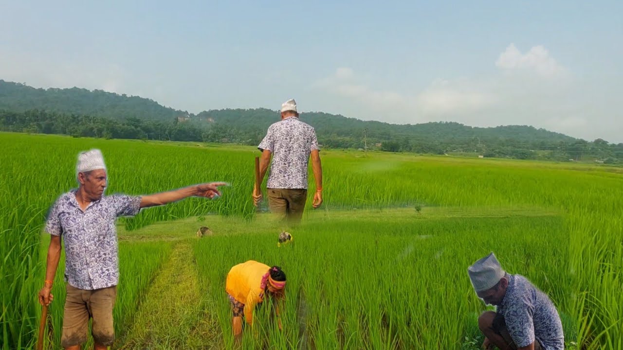 daily lifestyle of the people living in the plains spent working in the ...