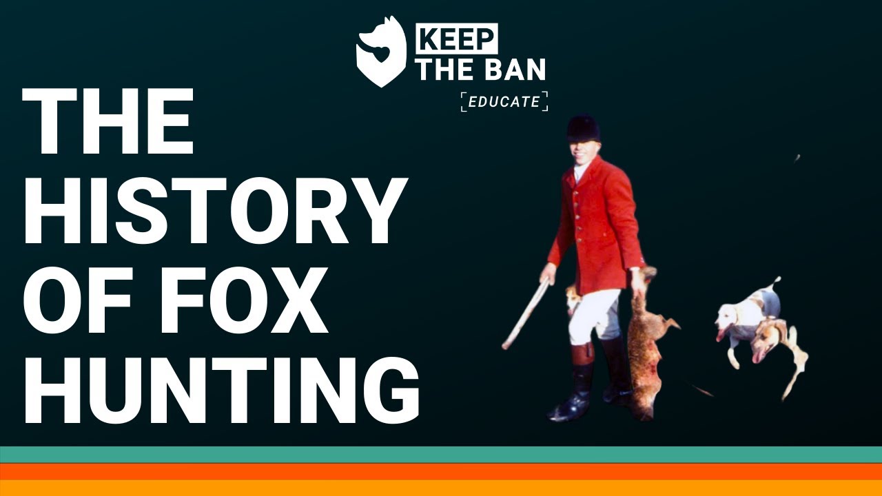 The History of Fox Hunting - YouTube