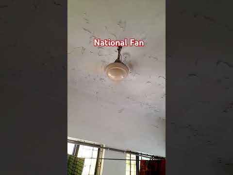 National Fan - YouTube