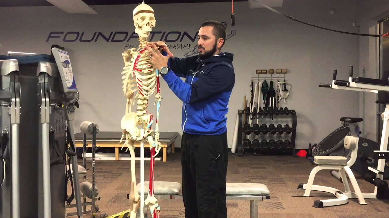 The truth about aches and pains - Regional Interdependence Overview ...