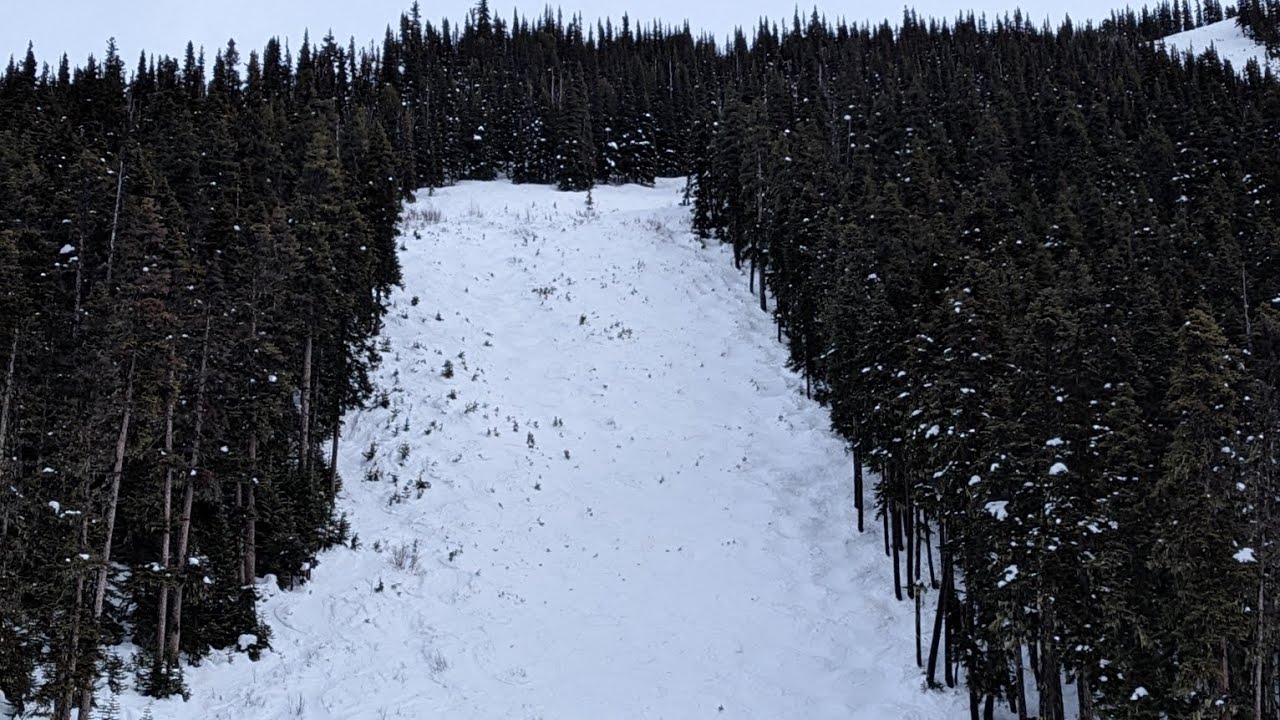 2024-01-20-Blackcomb-Snowboarding Glades near Overbite and Davie's ...