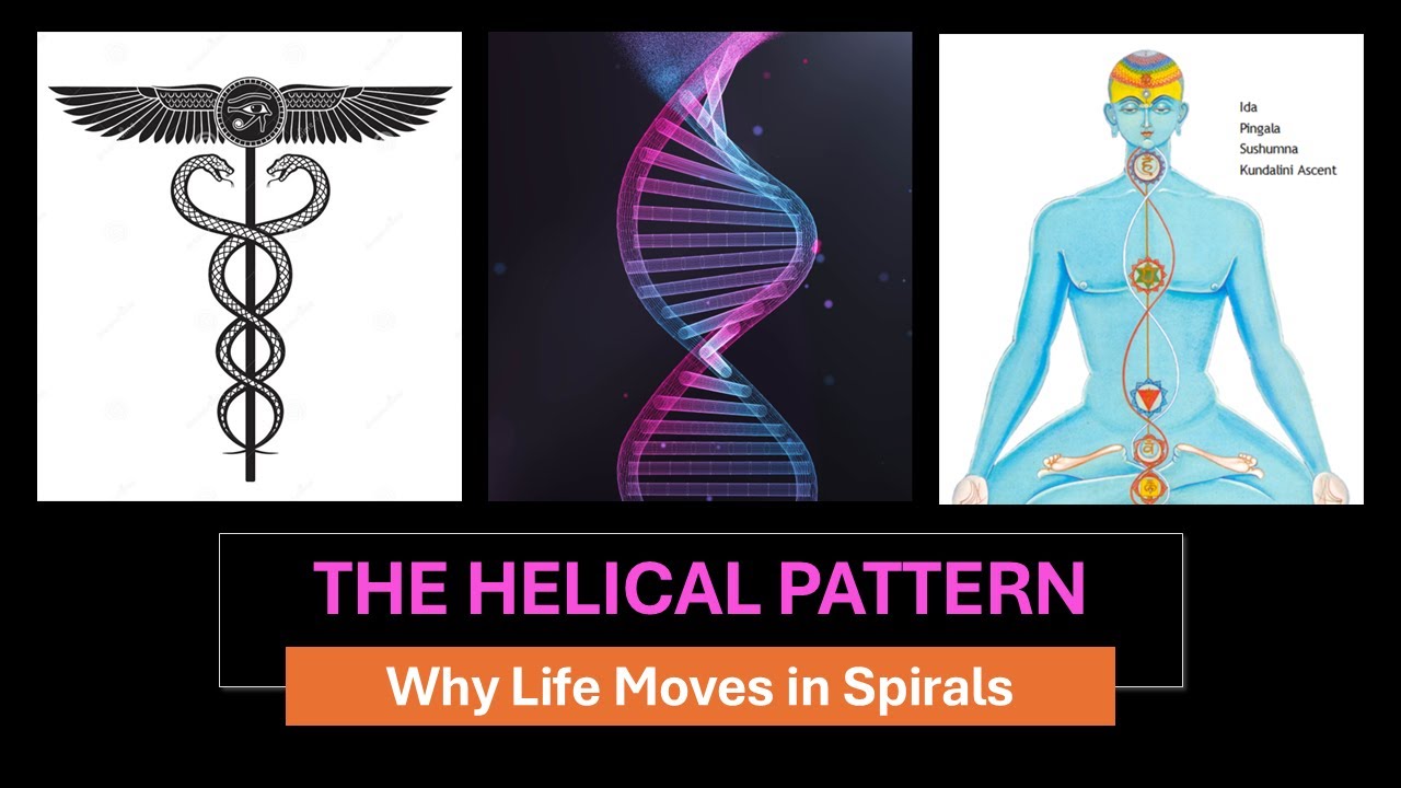 The Helical Pattern: Why life moves in SPIRALS - YouTube