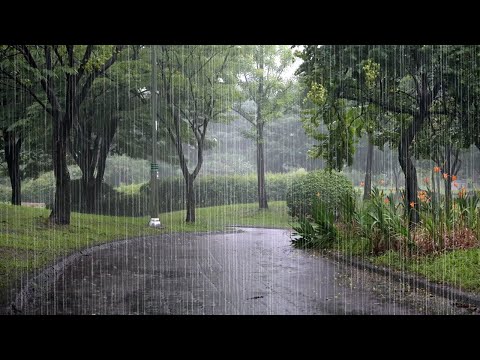 Heavy Rain Sounds in the Park – ASMR White Noise to Calm the Mind, Relieve Stress & Heal Emotions