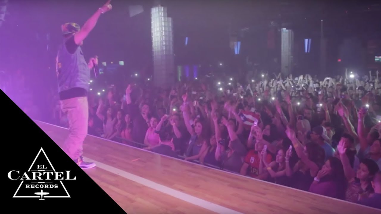 DADDY YANKEE @ DALLAS, HOUSTON & ODESSA TEXAS (Live) - YouTube