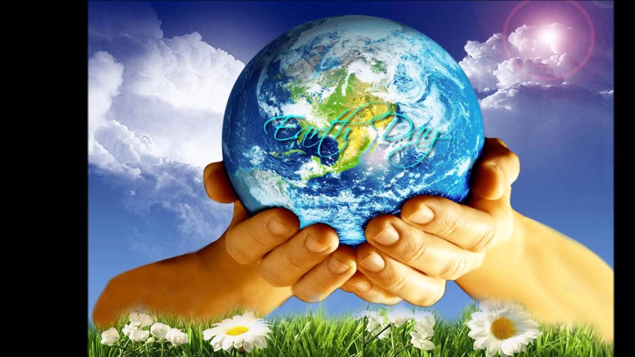 gjendja ekologjike e mjedisit - YouTube