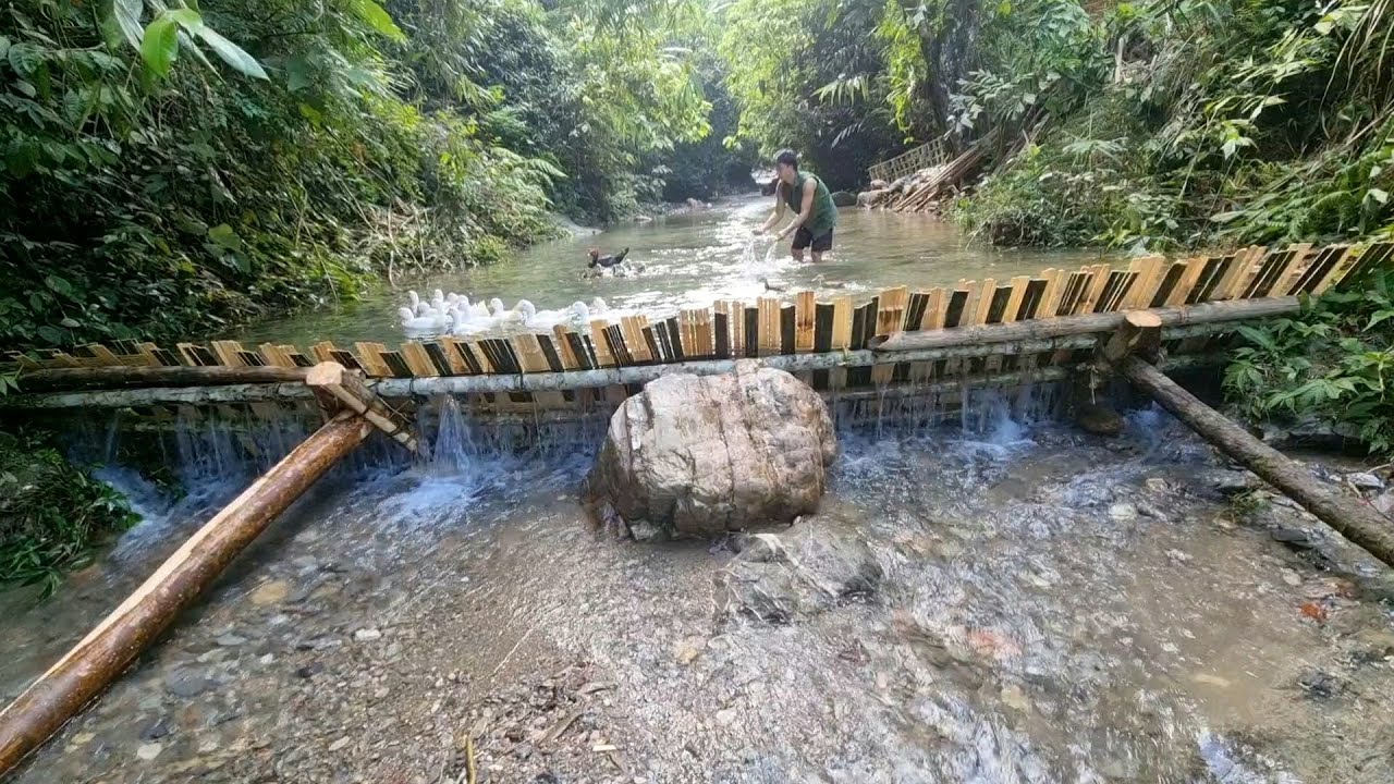 build a stream dam as a place to release ducks & weave baskets to catch ...