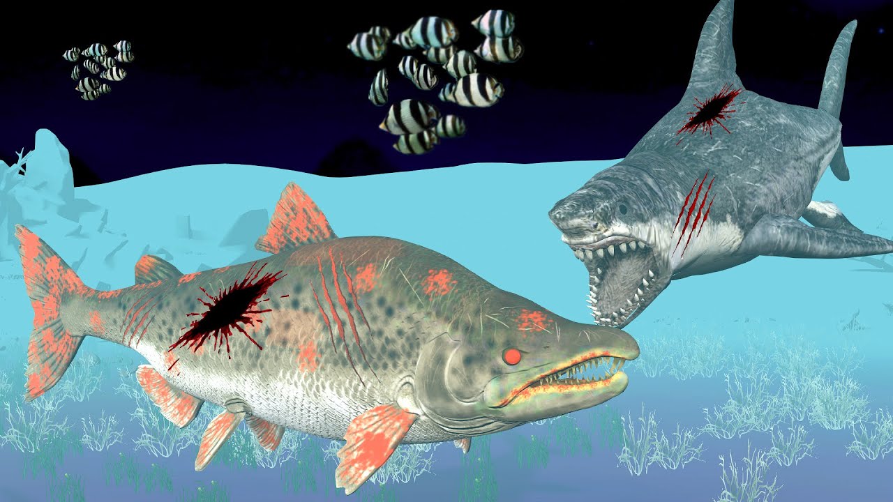 Salmon vs Sharks - Devil Salmon Fish Attacks Shark | Sea Animals Fights ...