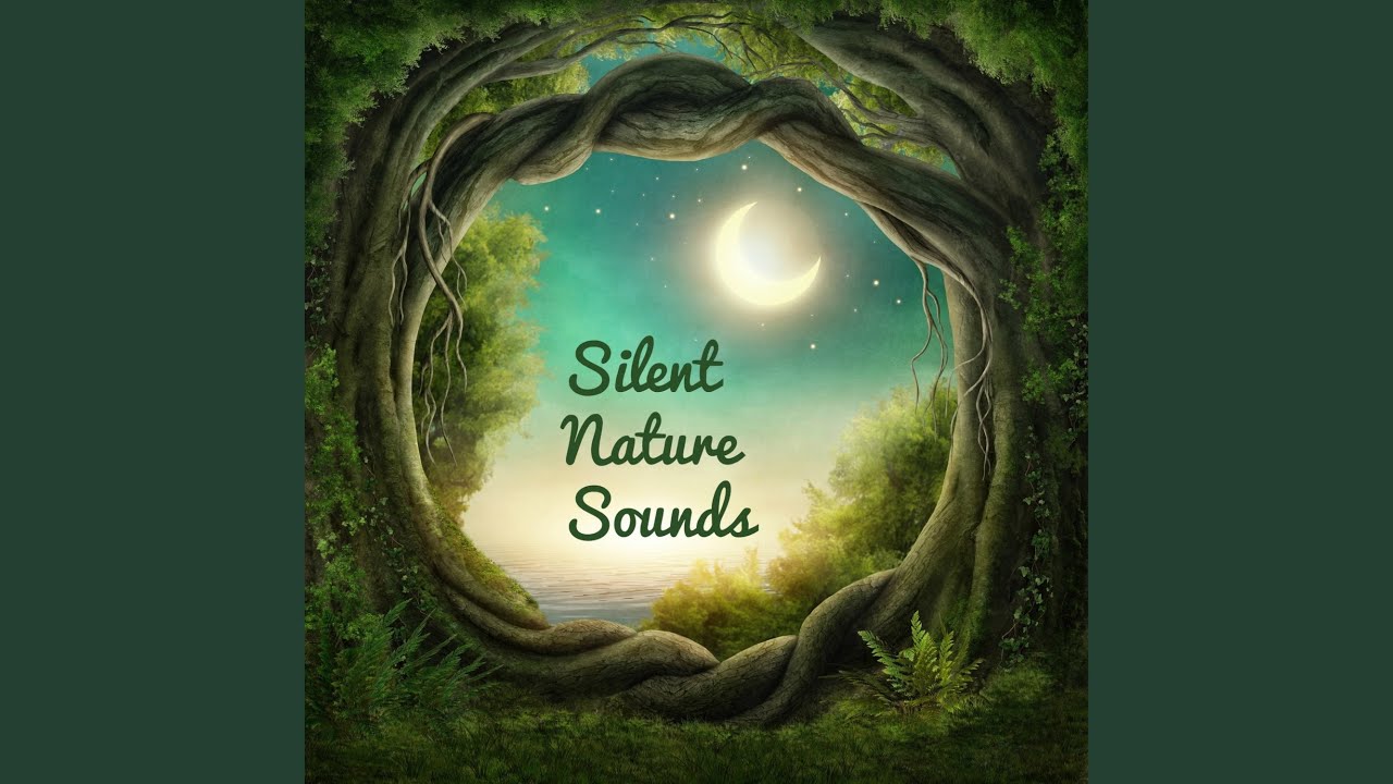 Night Time Noises - YouTube