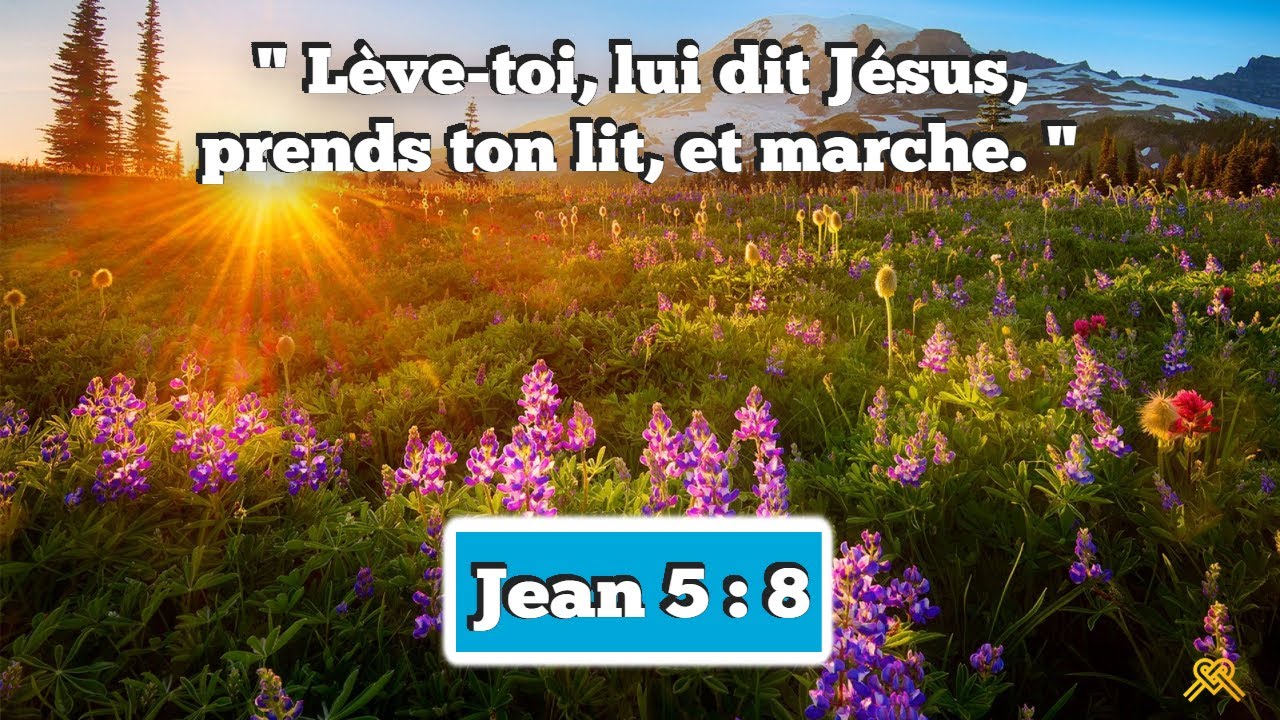 Prière inspirée du jour #183 – Jean 5 : 8 - YouTube