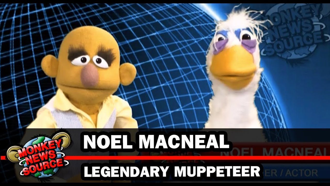 Bear in the Big Blue House - Bear - Muppeteer - Noel MacNeal on Monkey ...