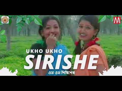 UKHA UKHA SIRISHER | ZUBEEN GARG | MANAS ROBIN | CHAMPA | TEA TRIBE | SAJAN NAYAK |