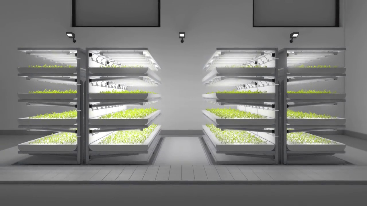 Wieland Light | Industry - Wieland Electric - YouTube