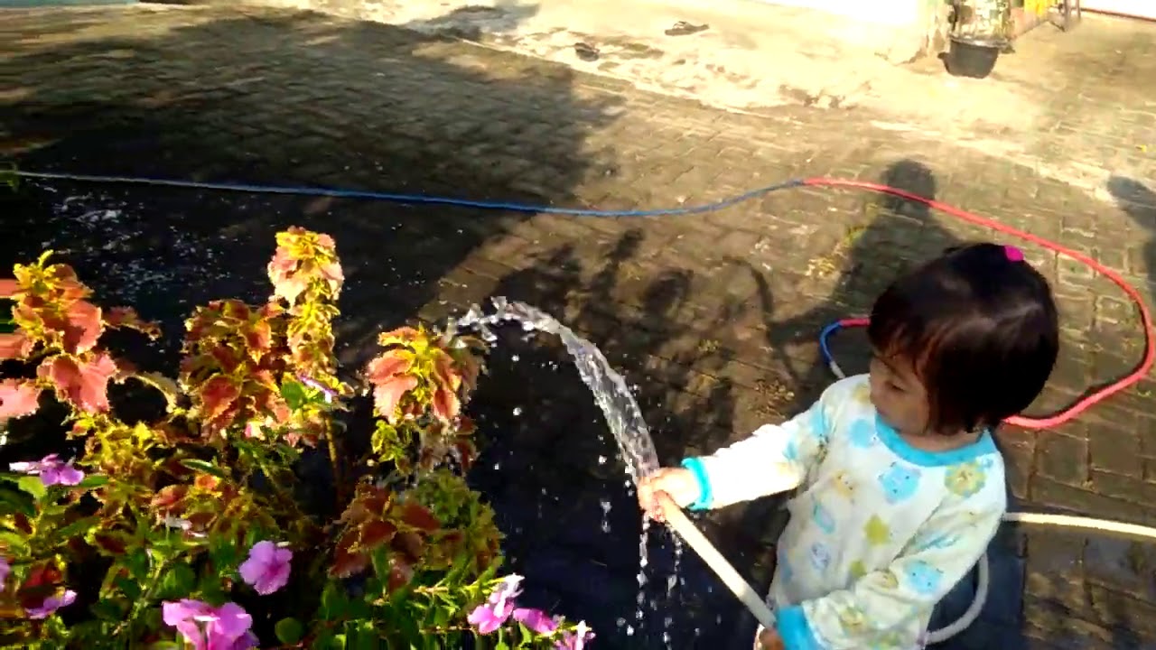 Siram bunga Di kebun Iting - YouTube