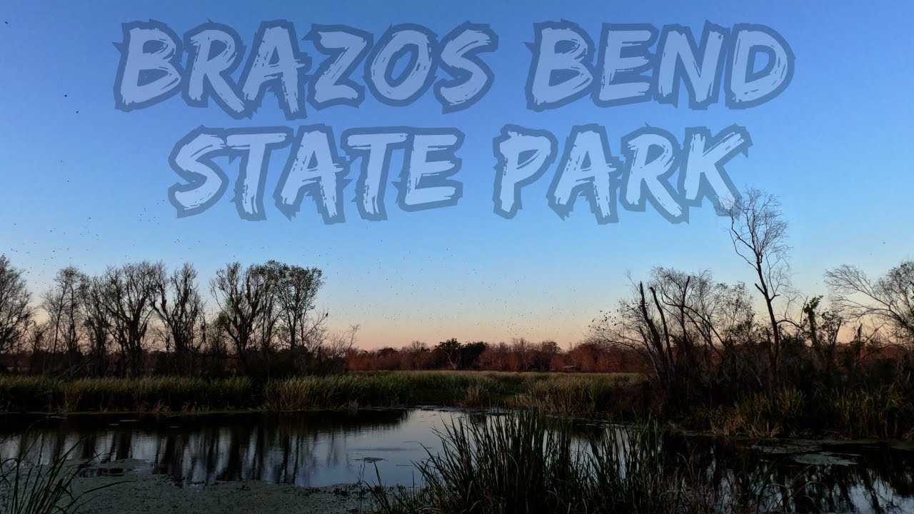 Exploring Nature with My Son | Brazos Bend State Park - YouTube