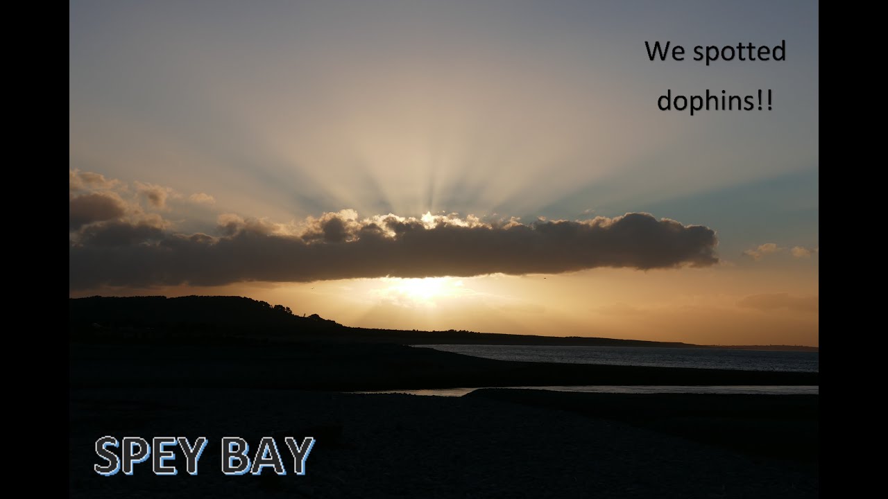 Spey Bay. Scottish Dolphin Centre. Spotting Dolphins. - YouTube
