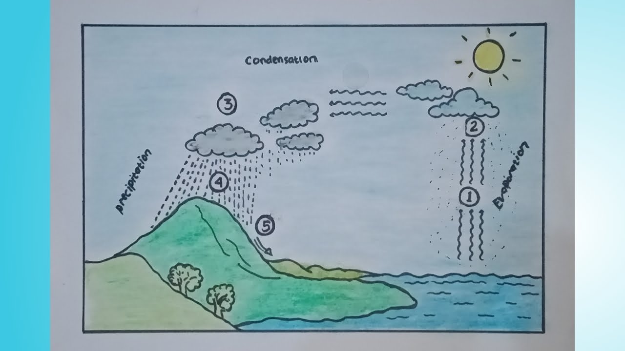Cara menggambar Proses Terjadinya Hujan yang mudah||gambar Siklus Air ...