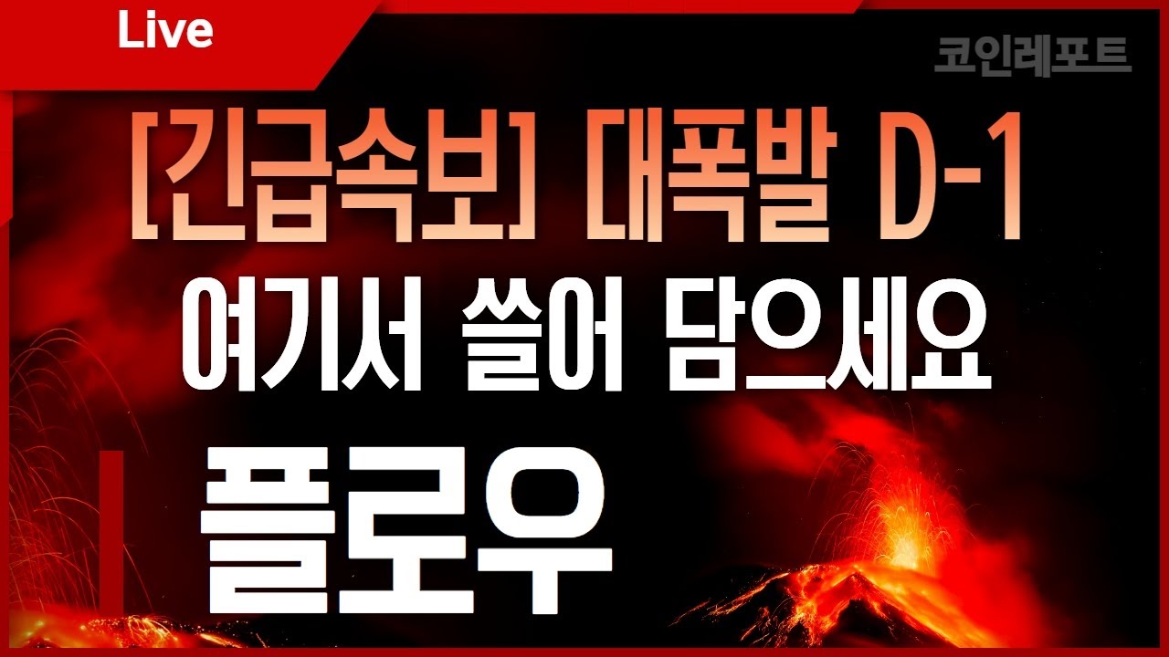 플로우 여기서 쓸어 담으세요 긴급속보 플로우 플로우코인전망 플로우코인 플로우코인호재 플로우목표가 급등코인 급등코인
