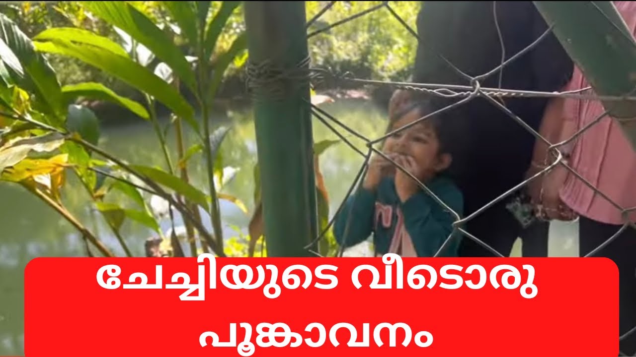 568. Last day at Vagamon | Chechi’s house visit - YouTube