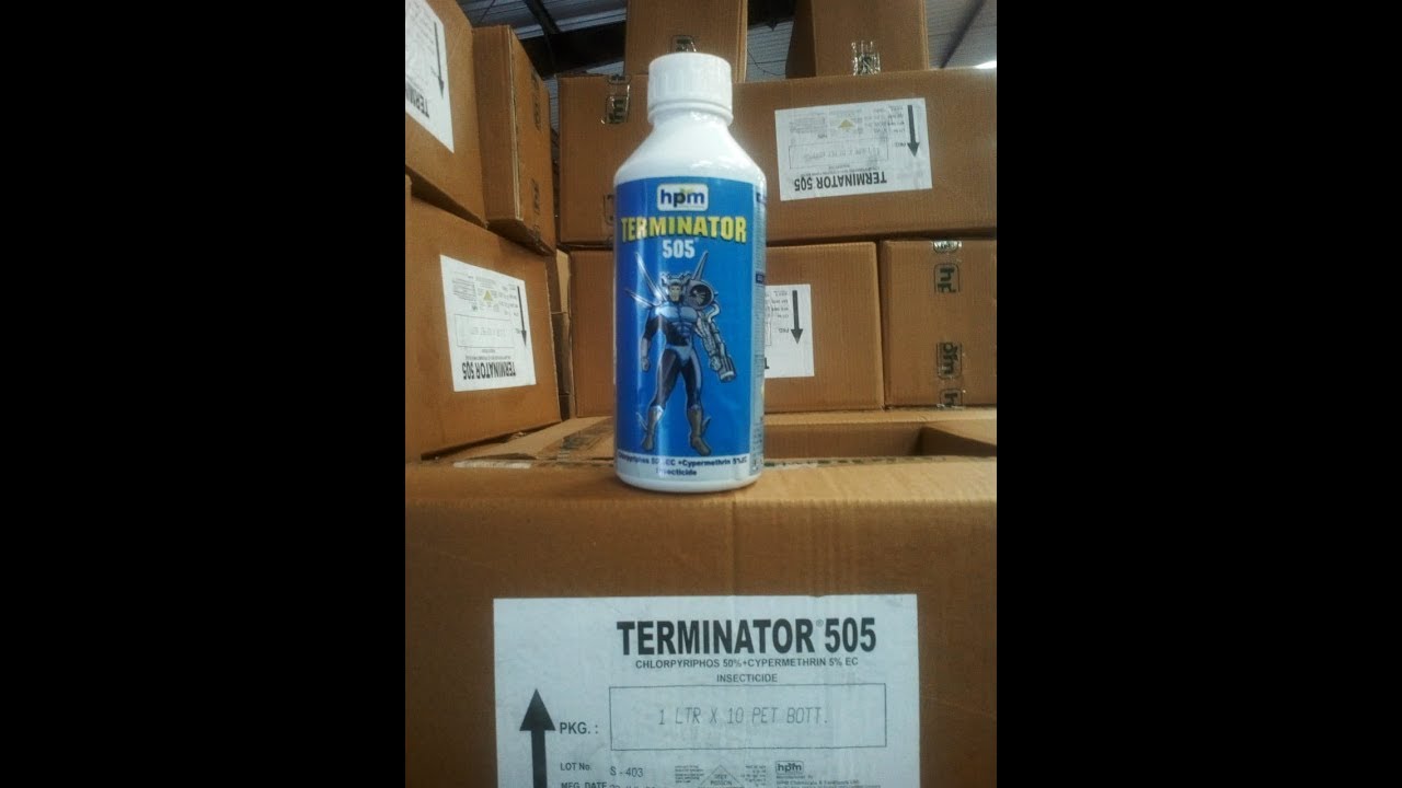 TERMINATOR 505 (INSECTICIDE) - YouTube