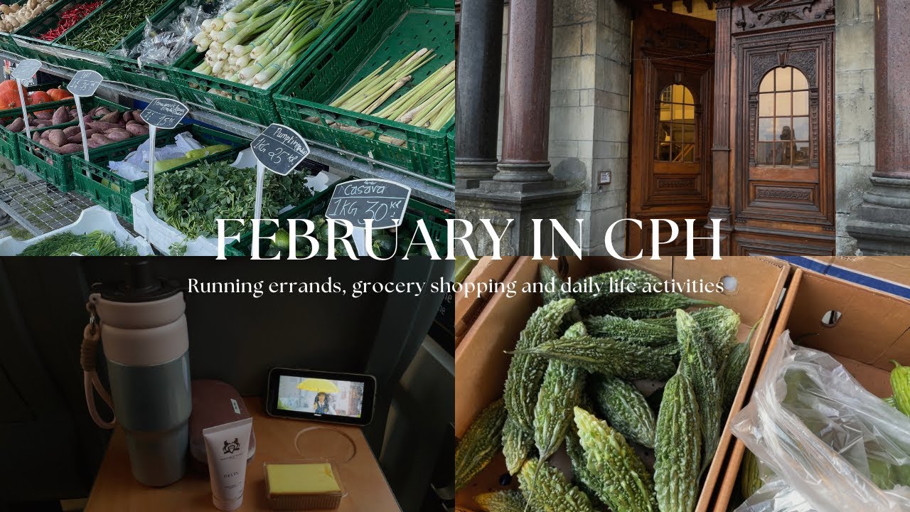 Surviving February | Coldest month so far, daily errands, going to work ...