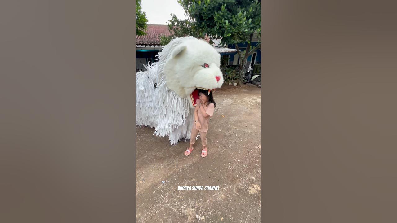 Gadis Cantik Lagi Foto Foto Malah Di Makan Can Macanan!!! - YouTube