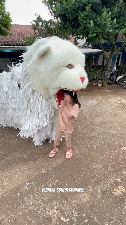 Gadis Cantik Lagi Foto Foto Malah Di Makan Can Macanan!!! - YouTube