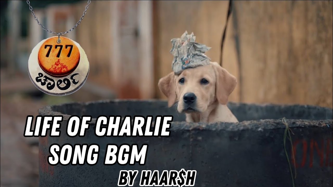 Life of Charlie song bgm | 777 Charlie bgm | remake by HAAR$H ...