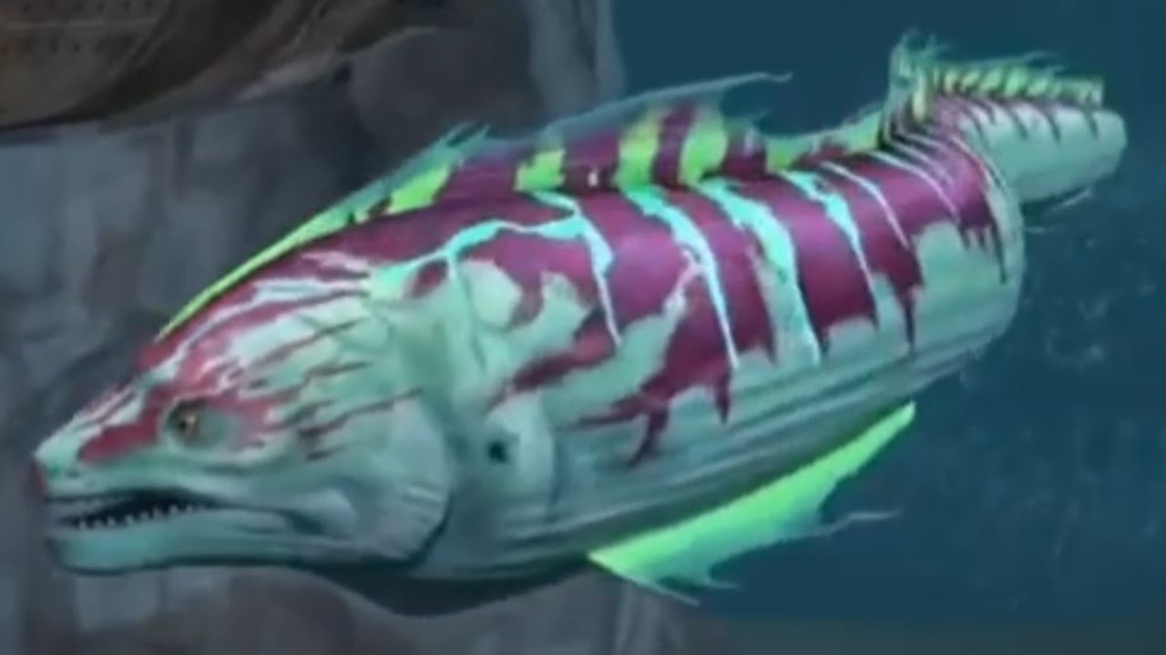 The Deep | Season 2 [2017] - Giant Eel Screen Time - YouTube