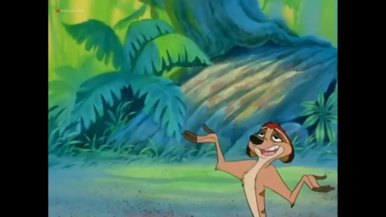 Timon and Pumbaa [ Hakuna Matata ] theme song intro Hindi [ HD ] - YouTube