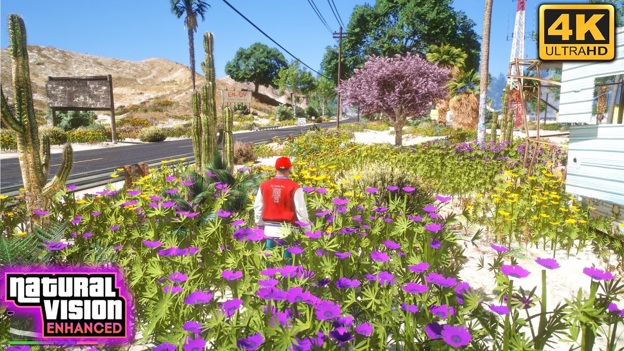 GTA 5 NaturalVision Enhanced + LWE Ultra Ray Tracing Looks STUNNING ...