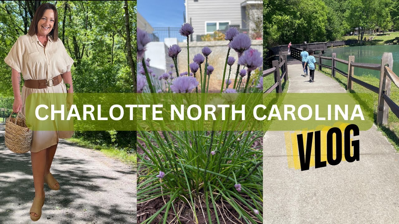 DID I LIKE NORTH CAROLINA? A SURPRISING VISITOR AND A NEW LAS VEGAS ...