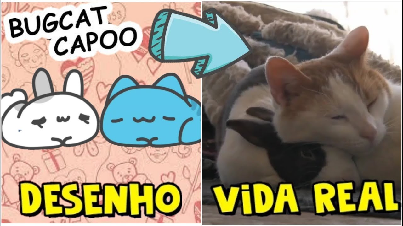 BUGCAT CAPOO ANIMATION & REAL LIFE - YouTube