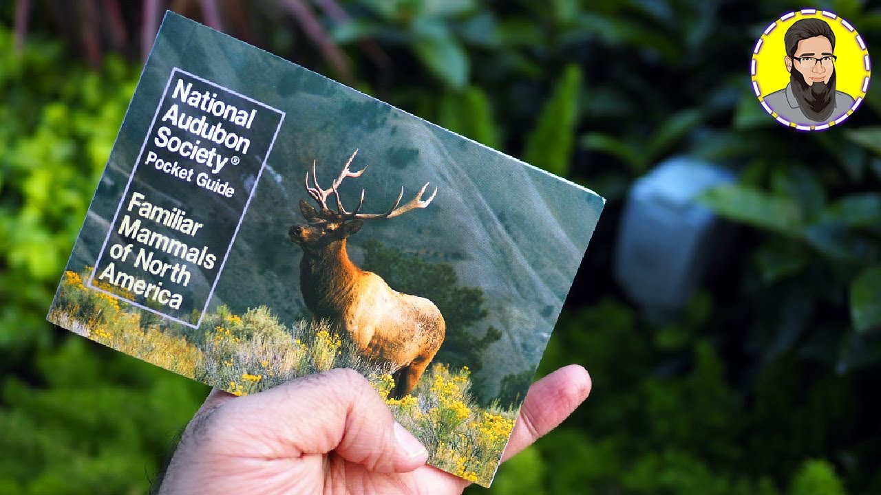 National Audubon Society Pocket Guide to Familiar Mammals (National ...