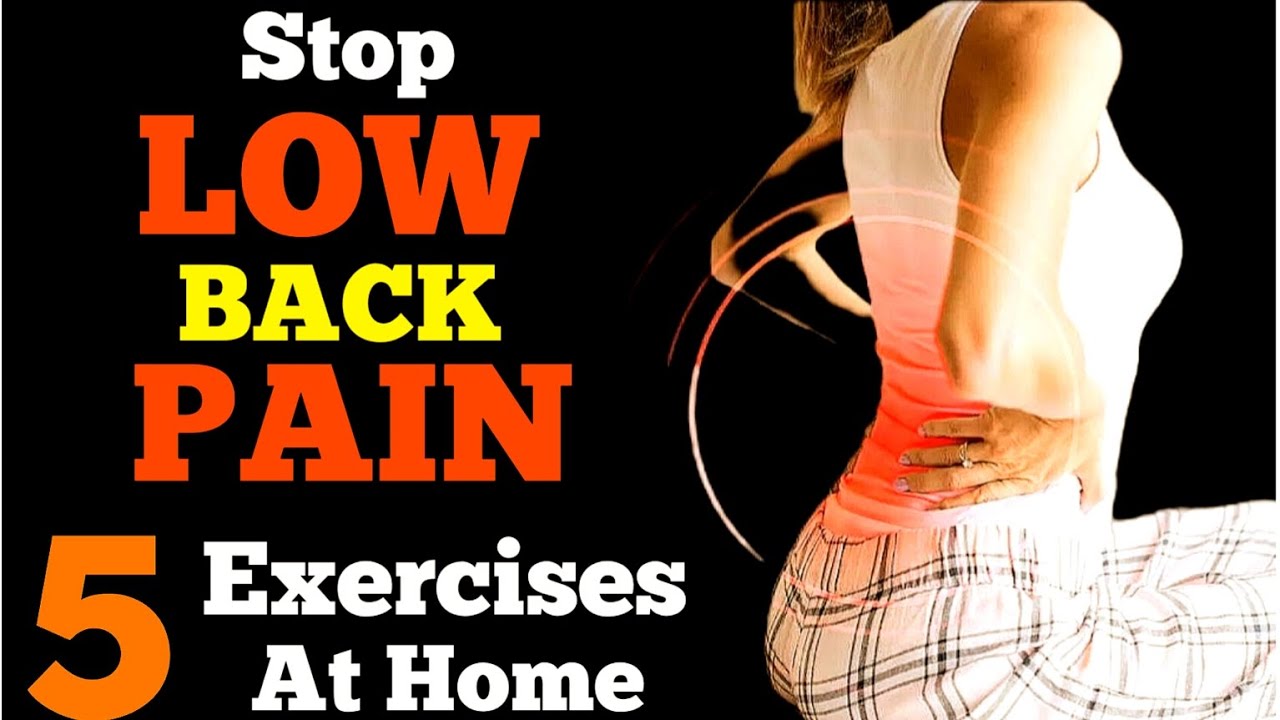 5 best Exercises for Low Back Pain Relief. - YouTube