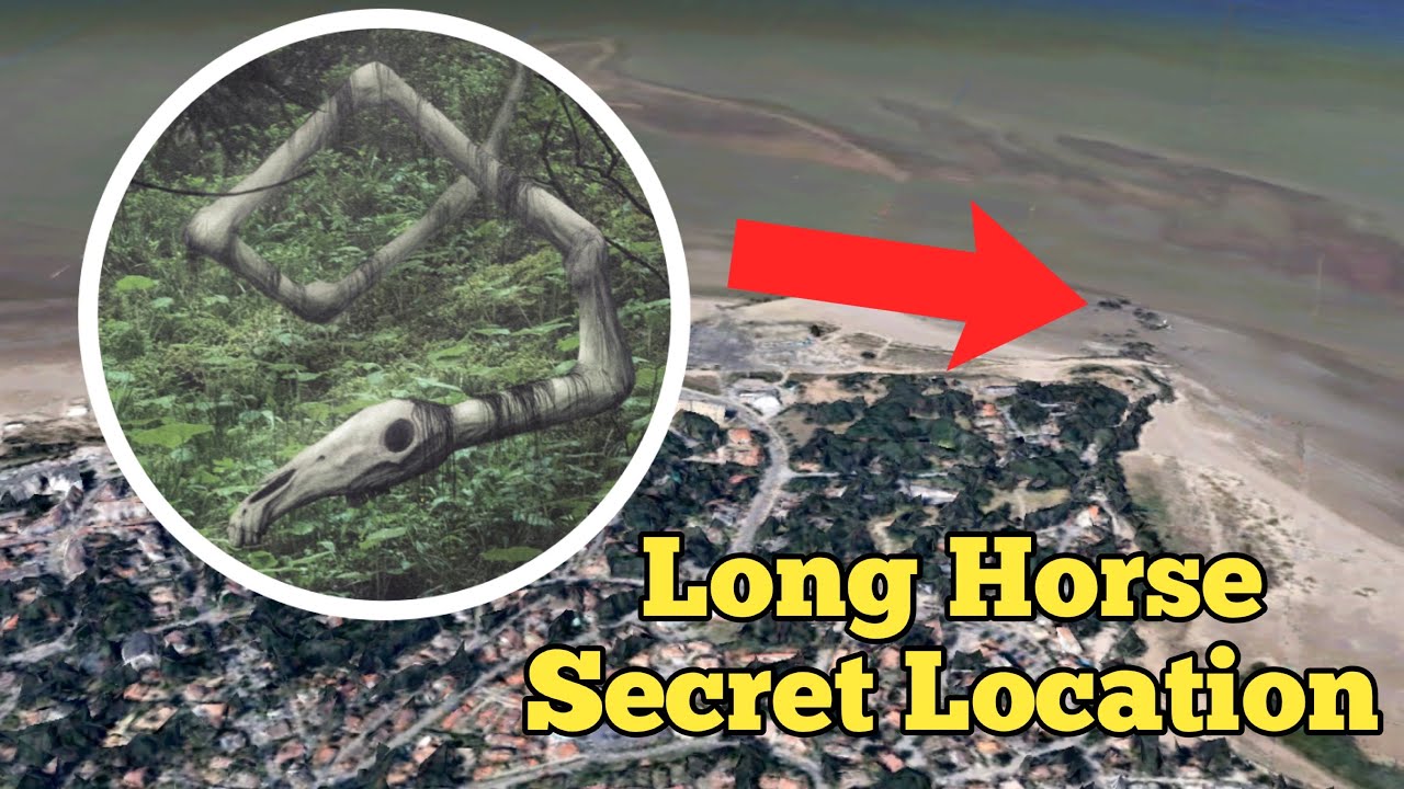Sightings Of Long Horse