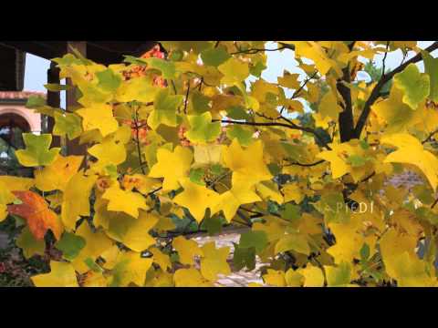 "Air - Beth Hirsch-All I Need - YouTube
