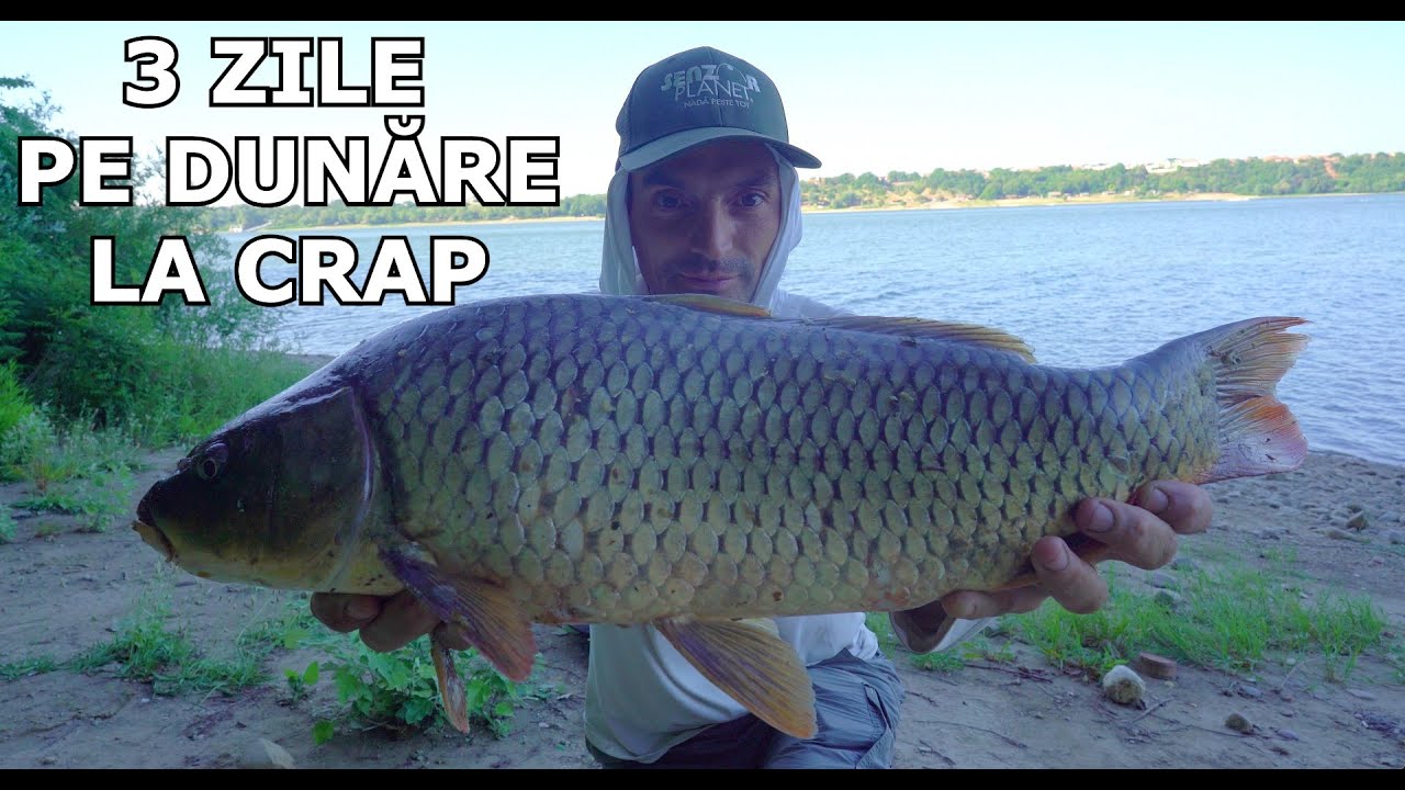 Pescuit 3 ZILE Pe Dunare 2025 LA CRAP la mijloc de Iunie - YouTube