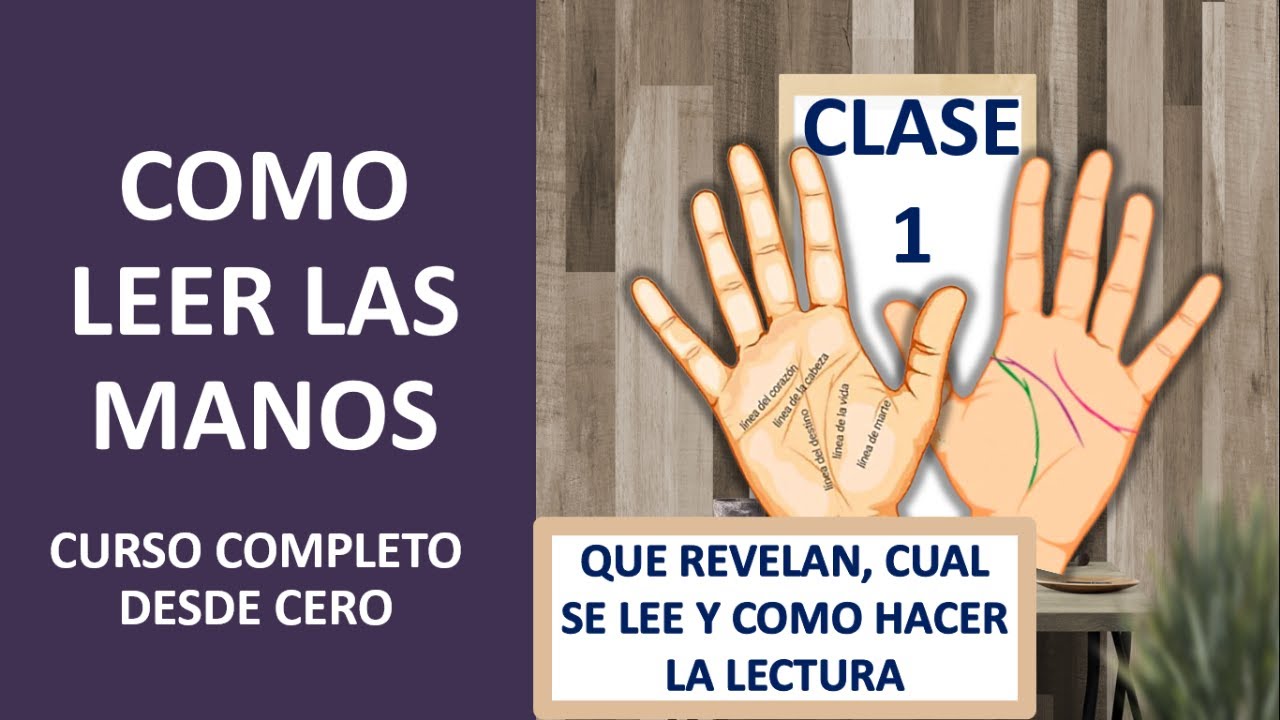Como Leer las Manos Clase 1 Quiromancia desde Cero Paso a Paso - YouTube