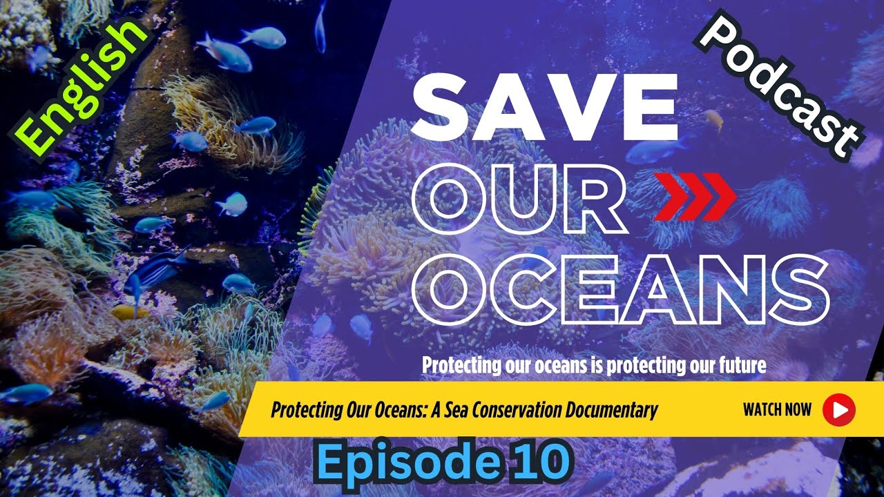 Ocean English Podcast, Episode 10 - YouTube