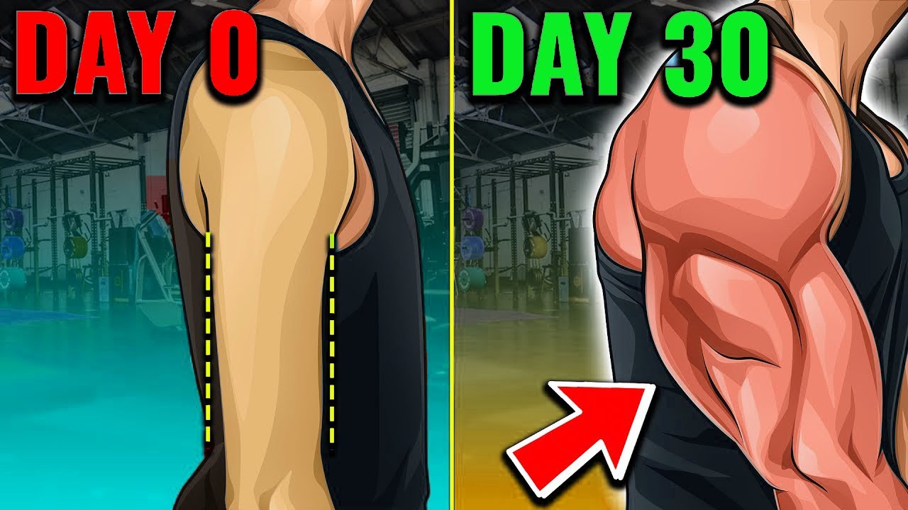 5-Min Workout \ day At Home To Grow TRICEPS - YouTube