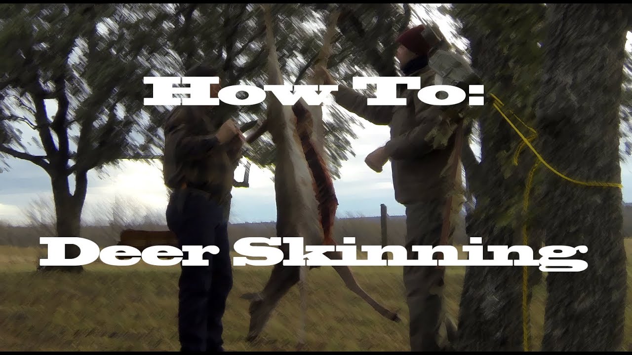 Deer skinning - YouTube