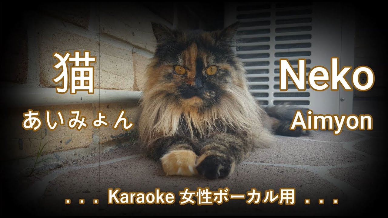 猫 - あいみょん【カラオケ】/ Neko - Aimyon 【Karaoke Instrumental】 - YouTube