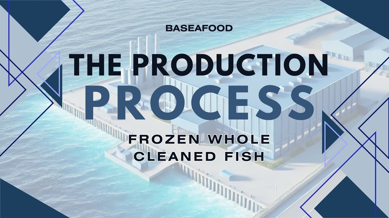 BASEAFOOD - Frozen Whole Cleaned Fish - Production Process - YouTube