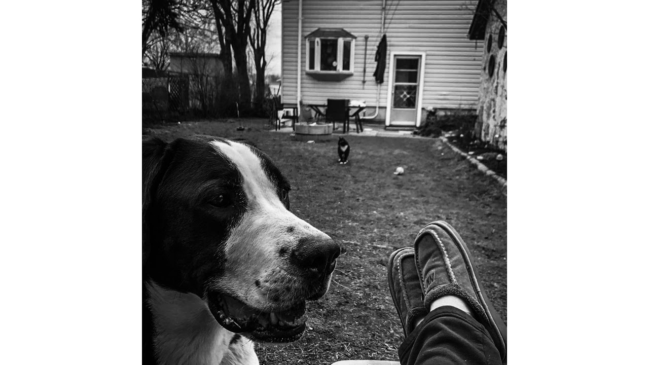 Kelly Seb Live Stream - YouTube