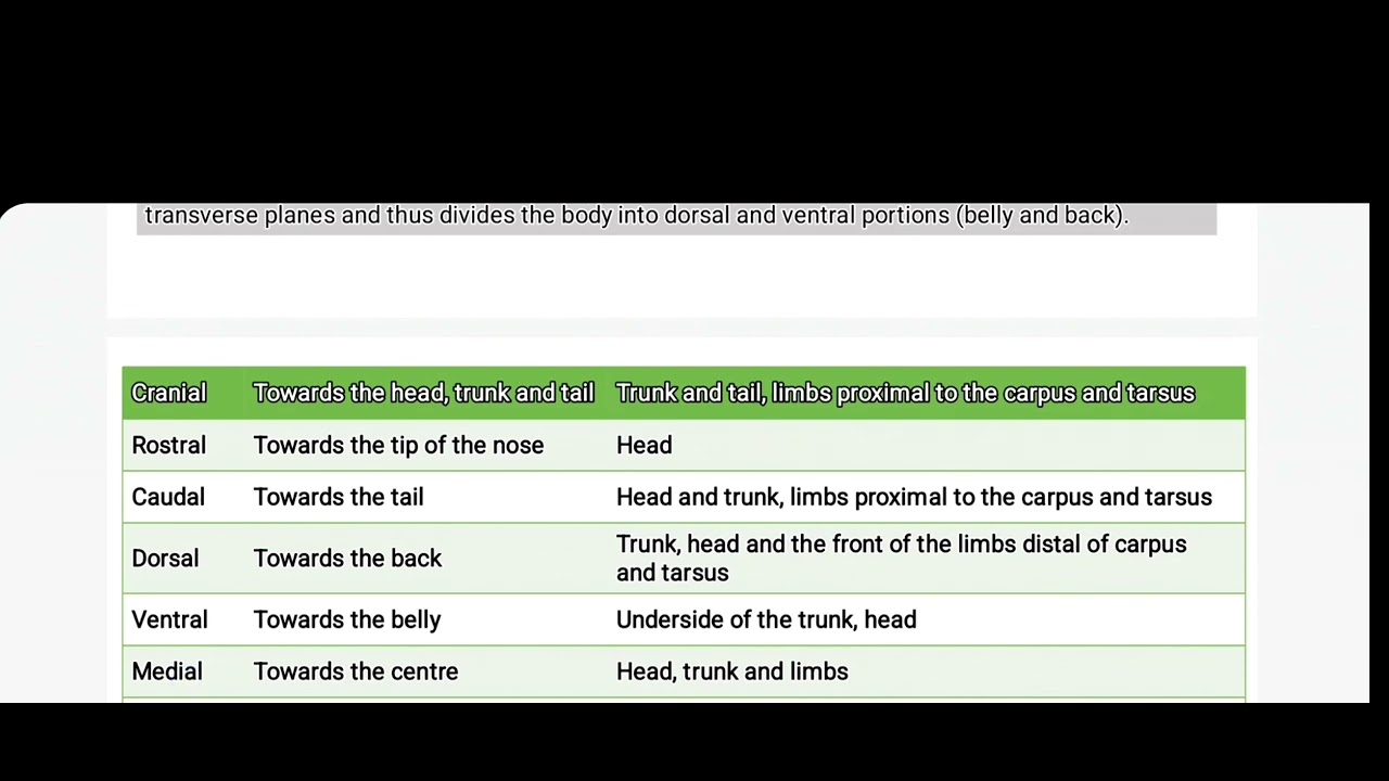 Lec#1 Veterinary Gross Anatomy & Directional Terminology - YouTube
